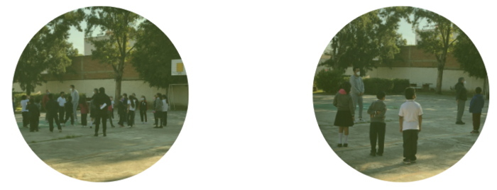 APORTE CREATIVO :: Huerto escolar